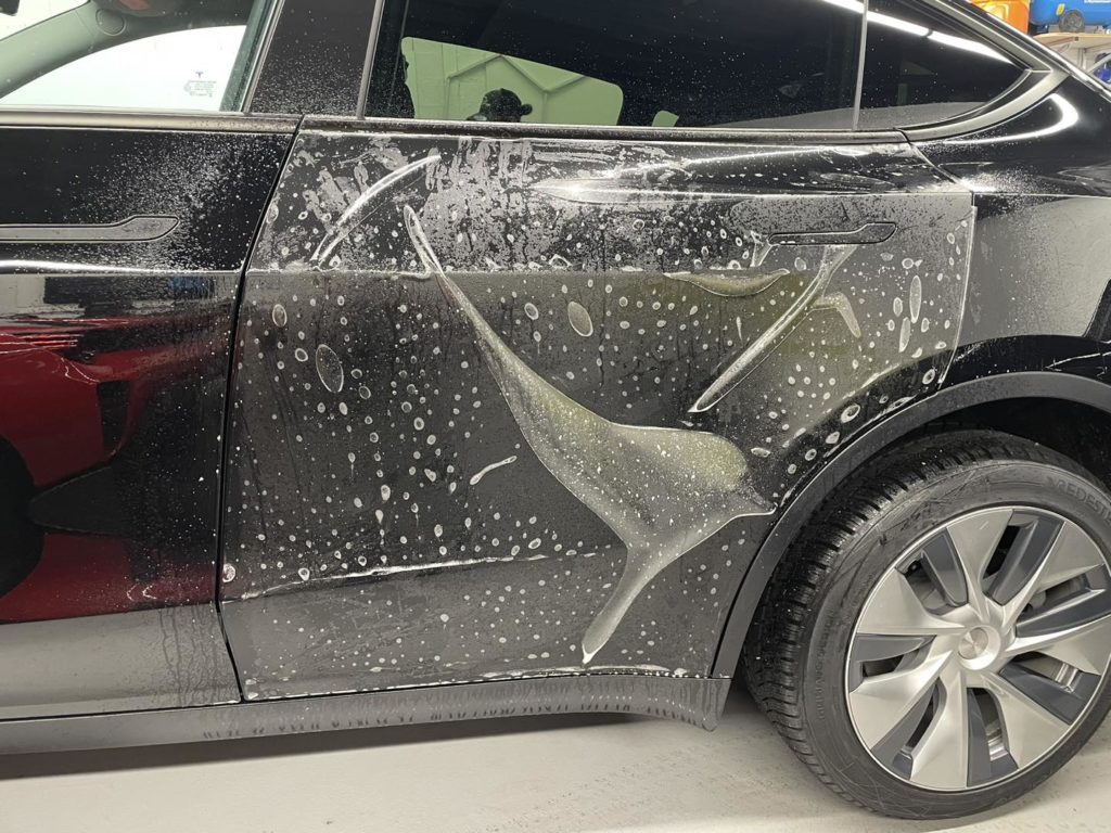 Tesla Model Y - Protection transparente finition Mat - CarWrap Design